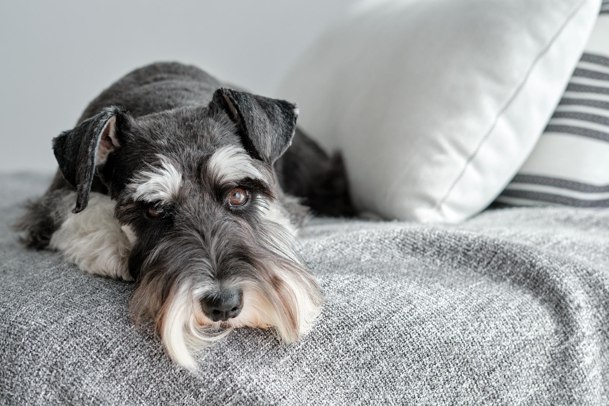 A Haven of Safety: Creating and Using a “Safe Space” for Your Anxious ...